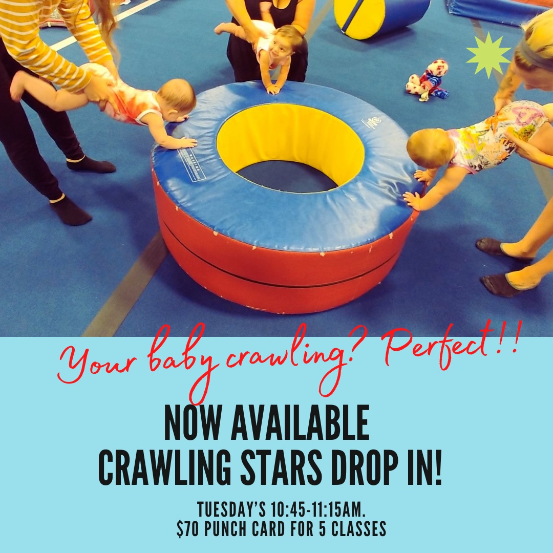 Home Page :: Winstars Gymnastics powered by Uplifter